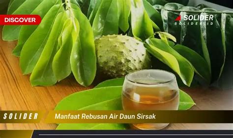 Temukan 4 Manfaat Rebusan Air Daun Sirsak Yang Jarang Diketahui
