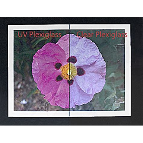 8 12x11 Uv Plexiglass