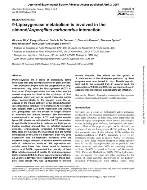 Pdf 9 Lipoxygenase Metabolism Is Involved In The Almond Aspergillus Carbonarius Interaction