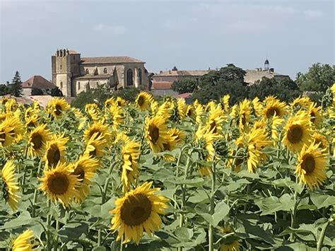 Photo Cuq Photos Images Cuq 47220