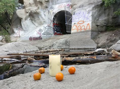 Thaddeus Shafer Discusses The Society And The Myth Of The Boanthropic