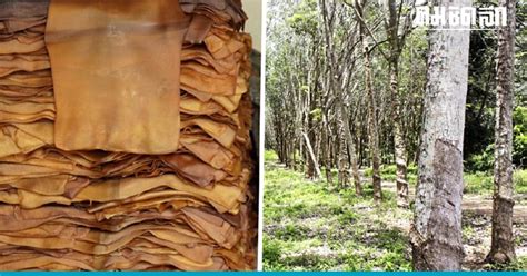 หลานชายเผด็จการทหาร‘ชุน ดูฮวานขอโทษสังหารหมู่ควังจู ยอมรับปู่ ‘คนบาป