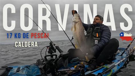 Pesca En Kayak Corvinas 17 Kg En Una Salida Youtube