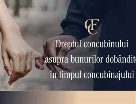 Decizie Pentru Dezlegarea Unor Chestiuni De Drept ICCJ Drepturile