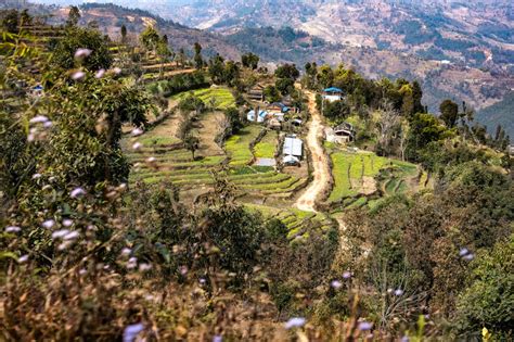 Centre Of Excellence Free Trainings 2023 The Yearley Trust