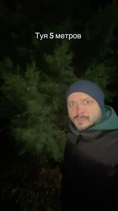 Пяти метровая туя Youtube