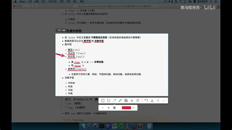161 061 变量的类型 04 Python中的变量类型 Youtube