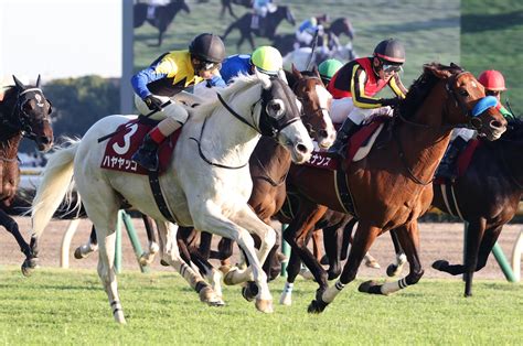 【アルゼンチン共和国杯】10番人気ハヤヤッコが復活の重賞3勝目 最後方から追い込み 吉田豊がv導く 競馬ニュース Netkeiba