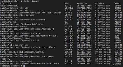 二进制部署kubernetes高可用集群 kubeasz 加到环境变量 csdn博客