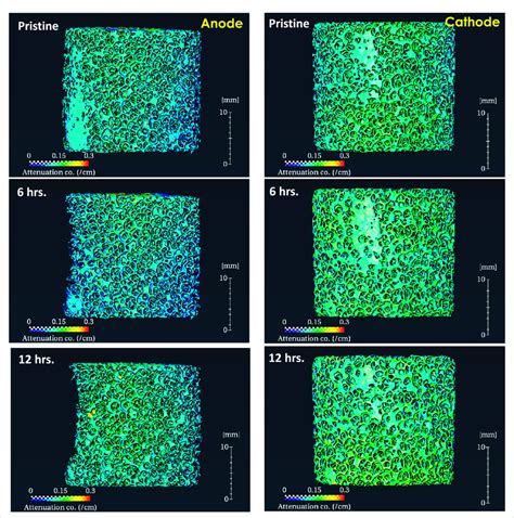 Reconstructed 3d Volume Of Porous Al Foam Electrodes Small Pores Download Scientific Diagram
