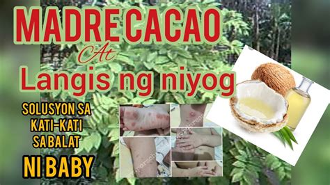 Gamot Sa Mga Sugat Sa Ulo Ng Bata My Xxx Hot Girl