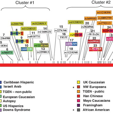 Top Panel Genomic Map Of Sorl1 Gene Showing The Location Of Snps Download Scientific Diagram