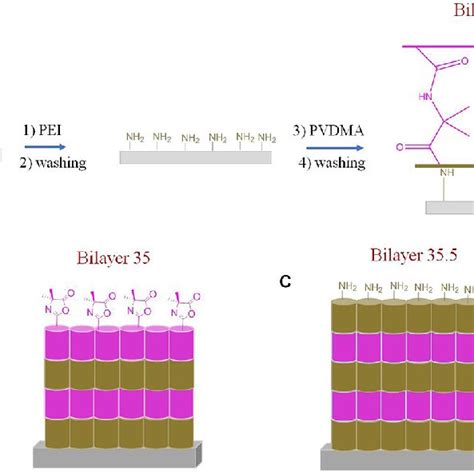 A Schematic Drawing Of The Prepared Lbl Assembly B Lbl Film With Download Scientific
