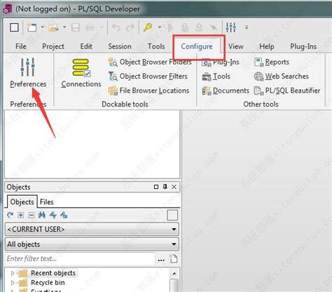 Plsql Developer怎么设置中文？plsql Developer设置中文的方法 系统部落