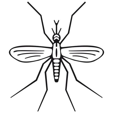 蚊子怎么画简笔画 儿童简笔画苍蝇 蚊子怎么画简笔画图片 大山谷图库