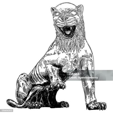 Tiger Roaring Drawing On White Background Illustration Of Angry