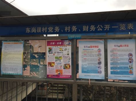 枫林社区开展反邪教宣传活动