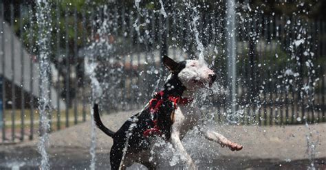 Tremendo Calor En Córdoba El Sol “partió La Tierra” Este Jueves Y La