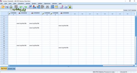 Ibm Spss Statistics 24 Download Drugqust