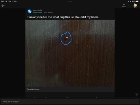 A Meme About Some Gis Sofware R Gismemes