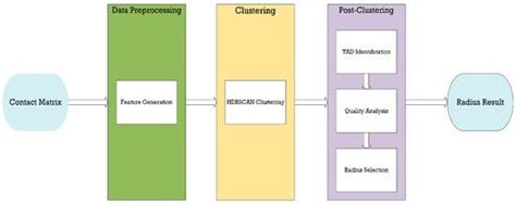 H M A Mohit Chowdhury On Linkedin Coitad Detection Of Topologically Associating Domains