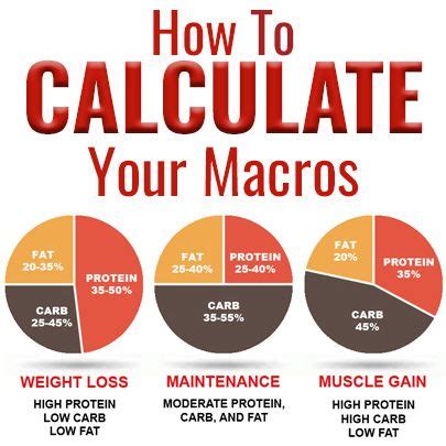 How To Calculate Macros For Muscle Gain Have Trouble Finding Certain