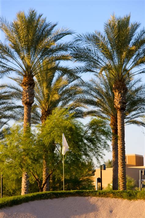 Plantation At Ponte Vedra Neighborhood Guide