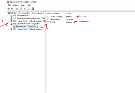 connections to commvault sql dbs community