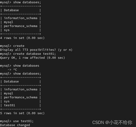 数据库查询练习 csdn博客