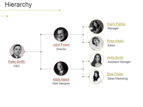 Hierarchy Ppt PowerPoint Presentation Infographic Template Show