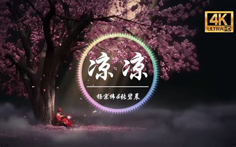 无损音质杨宗纬 张碧晨凉凉4K画质凉凉夜色为你思念成河 化作春泥呵护着我动态歌词版 按时吃饭吃饭 音乐 哔哩哔哩视频