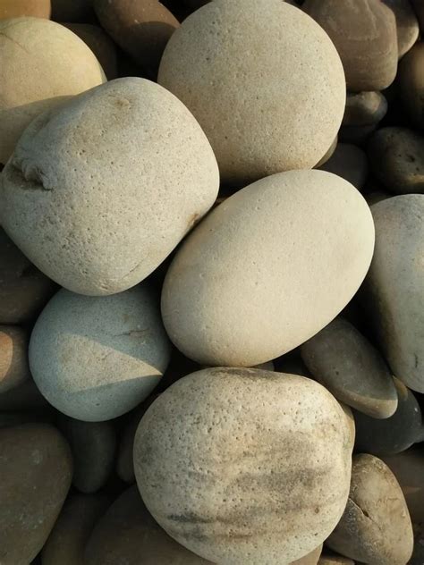 Brown Natural River Flat Stone Pebbles Tumbled Flat Stone Dimensions 40 To 120 Mm At Rs 12kg