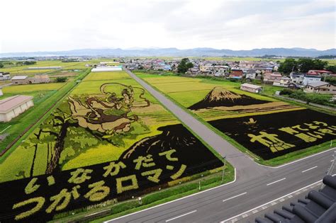 This Japanese Village Creates Amazing Rice Paddy Art Every Year