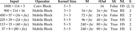 Specifications For The Feature Extraction Subnetwork Download