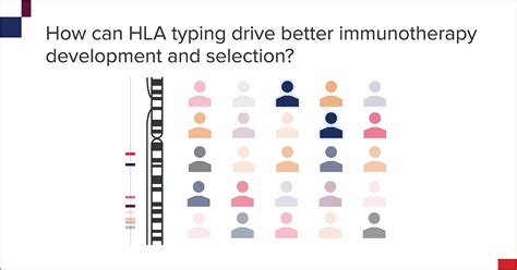 Hla Typing Results Explained At Benjamin Hutchison Blog