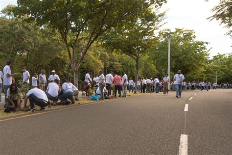 Medio Ambiente y la Alcaldía del DN se unen para arborizar el Mirador Sur en jornada Ecohéroes