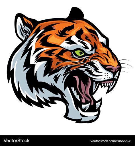 Angry 20 Angry Tiger Face Drawing