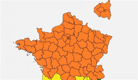 La Moselle Et Le Bas Rhin En Risque élevé Dallergie Aux Pollens