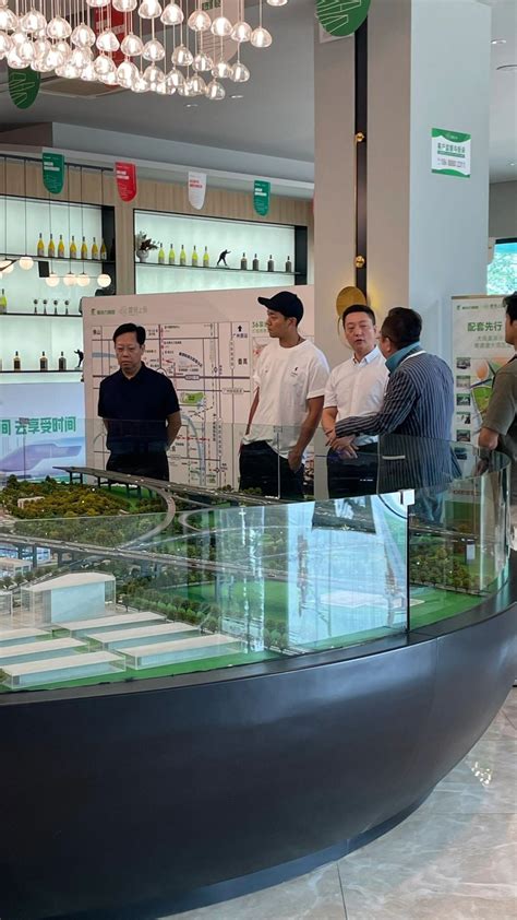 黎諾懿睇大灣區樓盤網民讚真人又高又大隻 港普帶貨內地大受歡迎 星島日報
