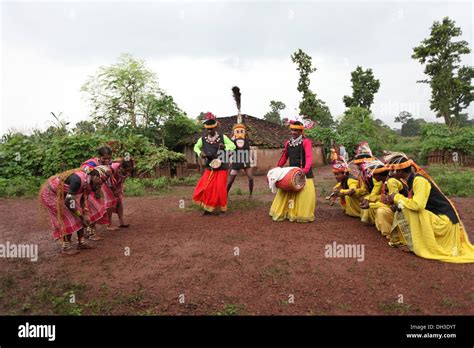 Tribal Dance Baiga Tribe Chada Village Madhya Pradesh India Stock