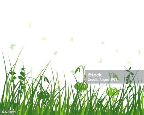 Green Grass Meadow Stock Illustration Download Image Now Blade