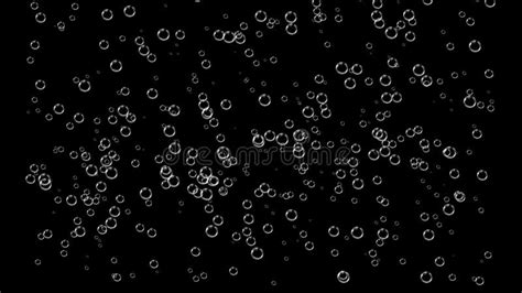 Animated Floating Air Bubbles On Black Screen And Alpha Channel The