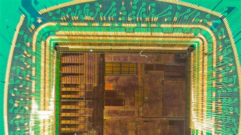 News And Events Exhibition And Learn More About Cortex Robotics