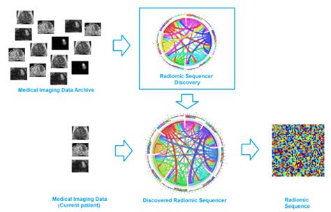 An Overview Of The General Discovery Radiomics Framework Download