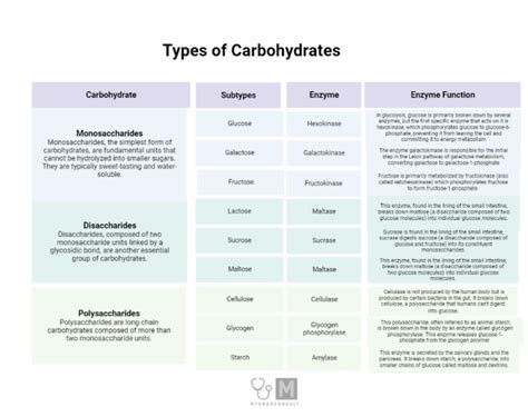All Monosaccharides Key Types And Functions