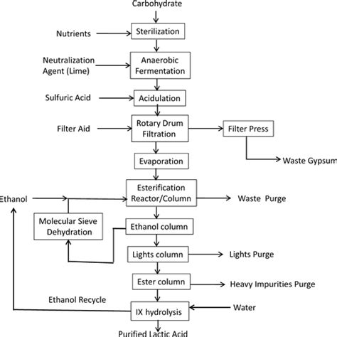 Lactic Acid Fermentation Process