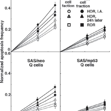 Dose Response Curves For The Normalized Apoptosis Frequency Of The