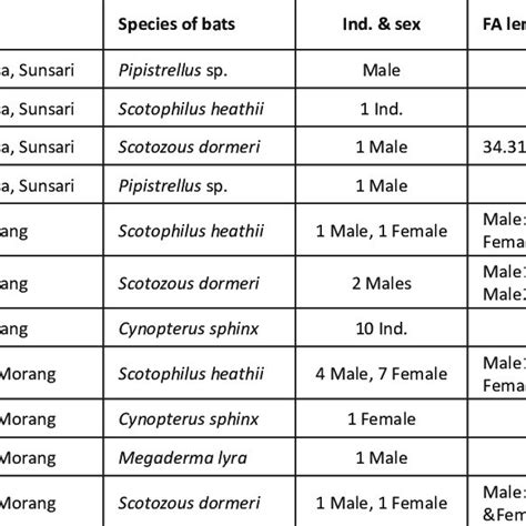 Bat Species Identification Three Survey Stations With Sex Forearm FA Download Scientific