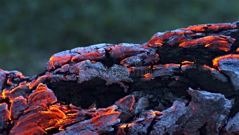 Beautiful Log Smoldering In The Fire Stock Image Image Of Summer