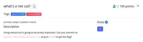 Ctf Whats A Net Cat Kikiyang Medium